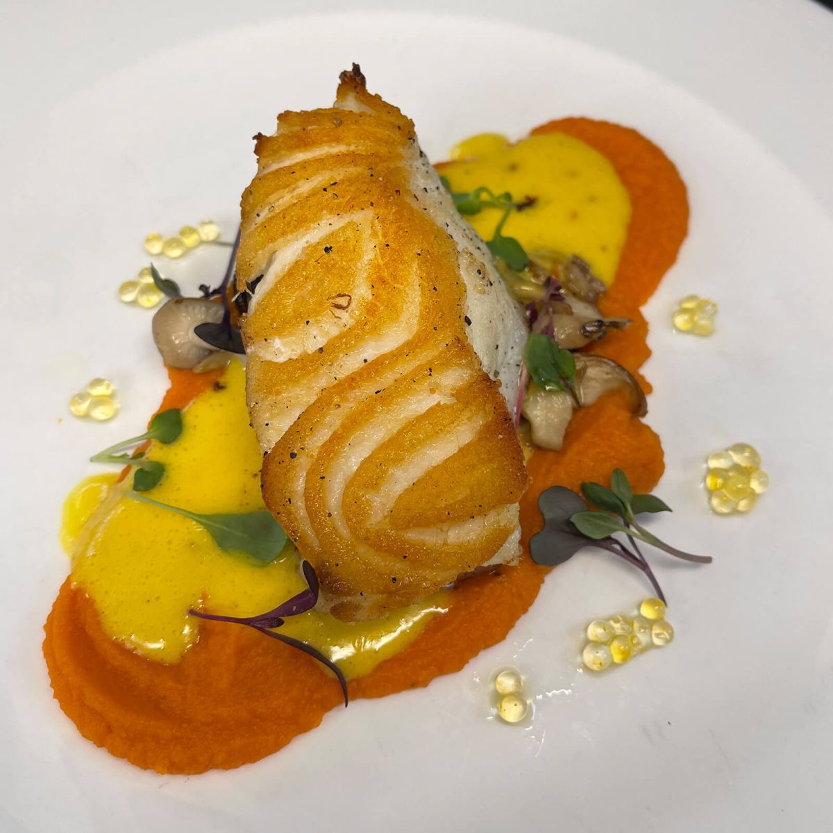 Gallery - Cache Cache