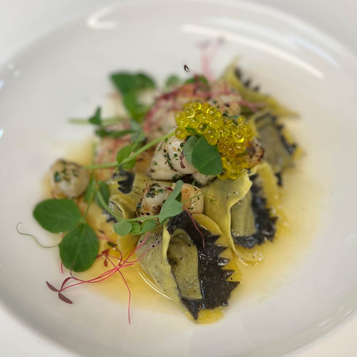 Gallery - Cache Cache